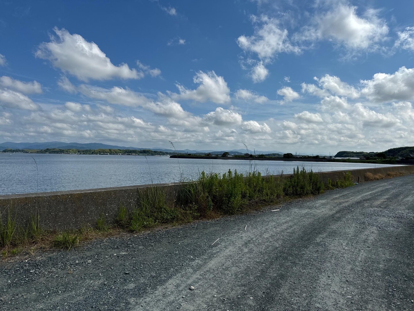 平地 Rehabilitation 庄内湖一周 / Milkyさんのウォーキングの活動データ | YAMAP / ヤマップ