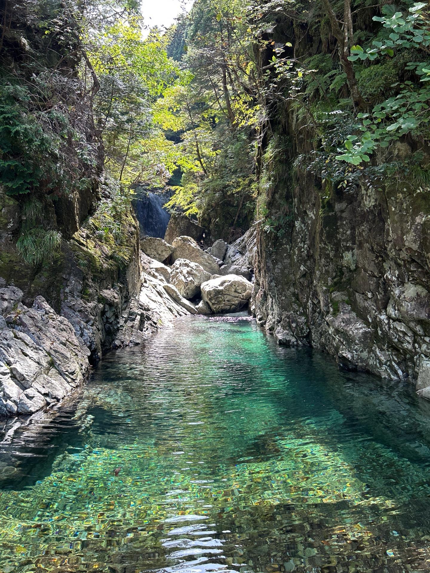 狼平の水を汲みに行ったけど⋯⋯💧 / rumicoさんの八経ヶ岳の活動データ | YAMAP / ヤマップ