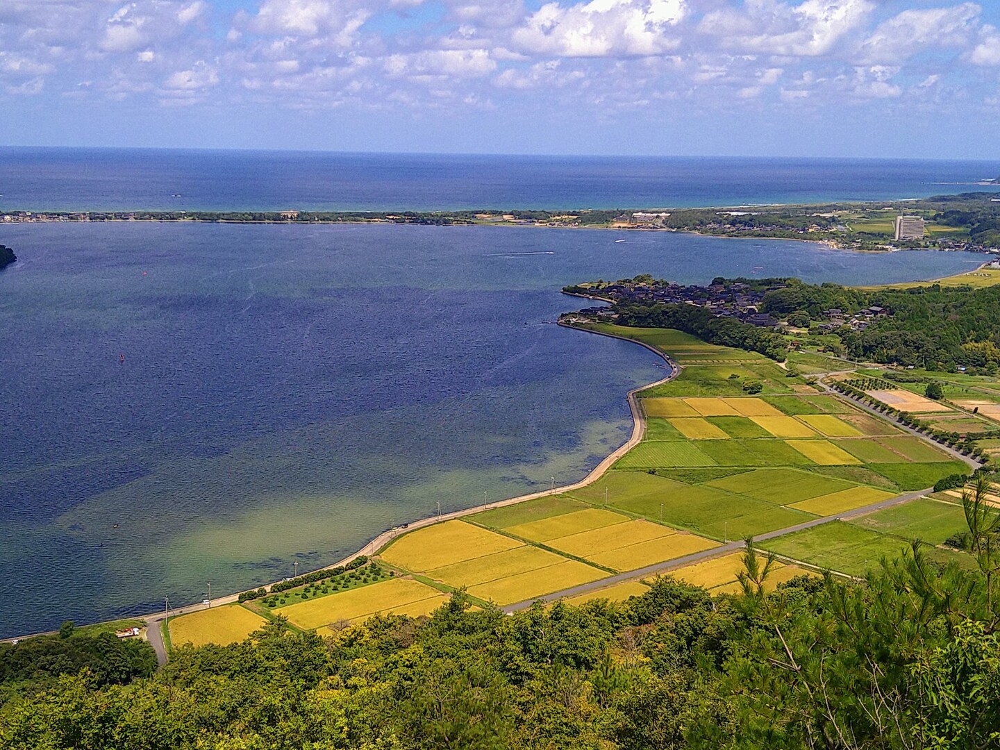 兜山 / YT9さんの兜山の活動データ | YAMAP / ヤマップ