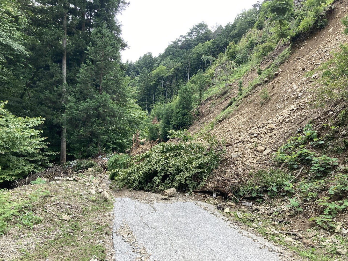 Ypaaさんの投稿したフィールドメモ | YAMAP / ヤマップ