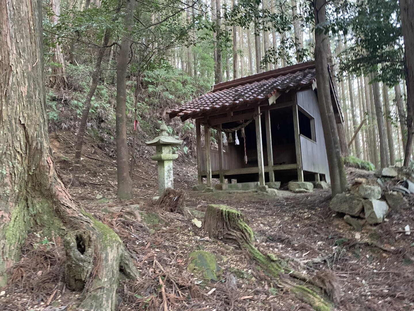 美祢の城山 / koma_xさんの桜山の活動データ | YAMAP / ヤマップ