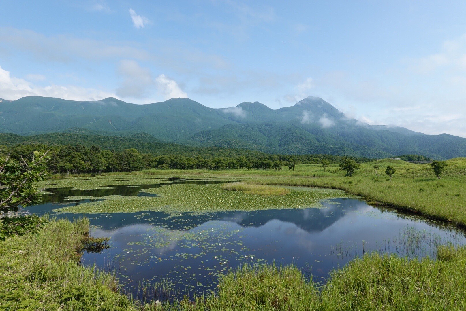【GoTo知床三山】Day1 知床五湖〜カムイワッカの滝2020-08-01 / やまぶーさんのハイキングの活動データ | YAMAP / ヤマップ