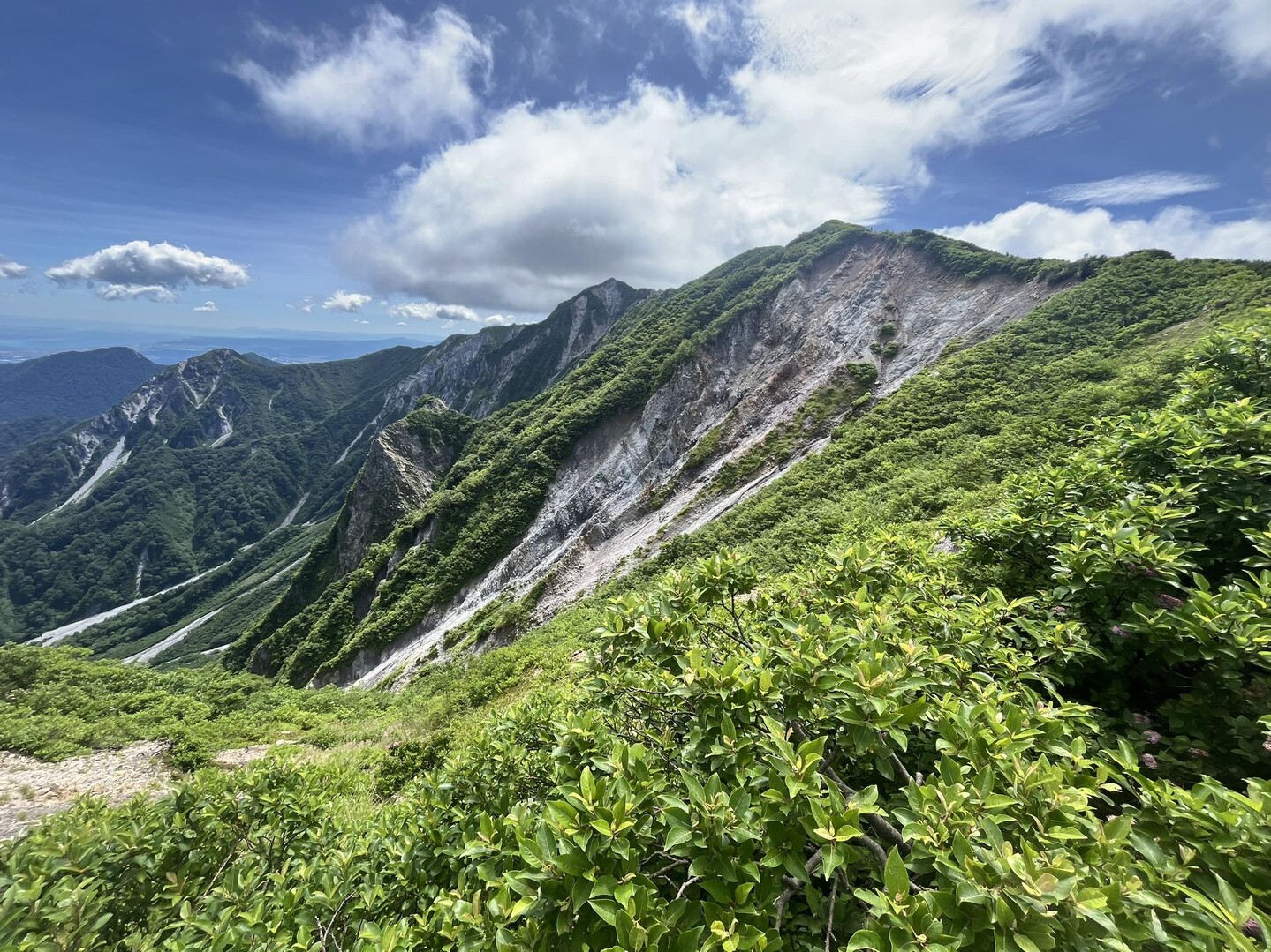 梅雨の谷間に七夕登山⛰️大山（弥山） / marumoさんの大山・甲ヶ山・野田ヶ山の活動データ | YAMAP / ヤマップ