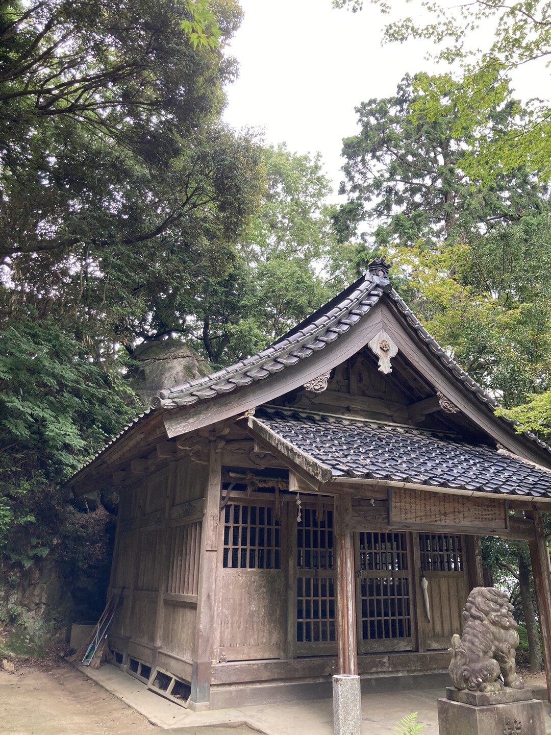 hiyoさんの投稿したフィールドメモ | YAMAP / ヤマップ