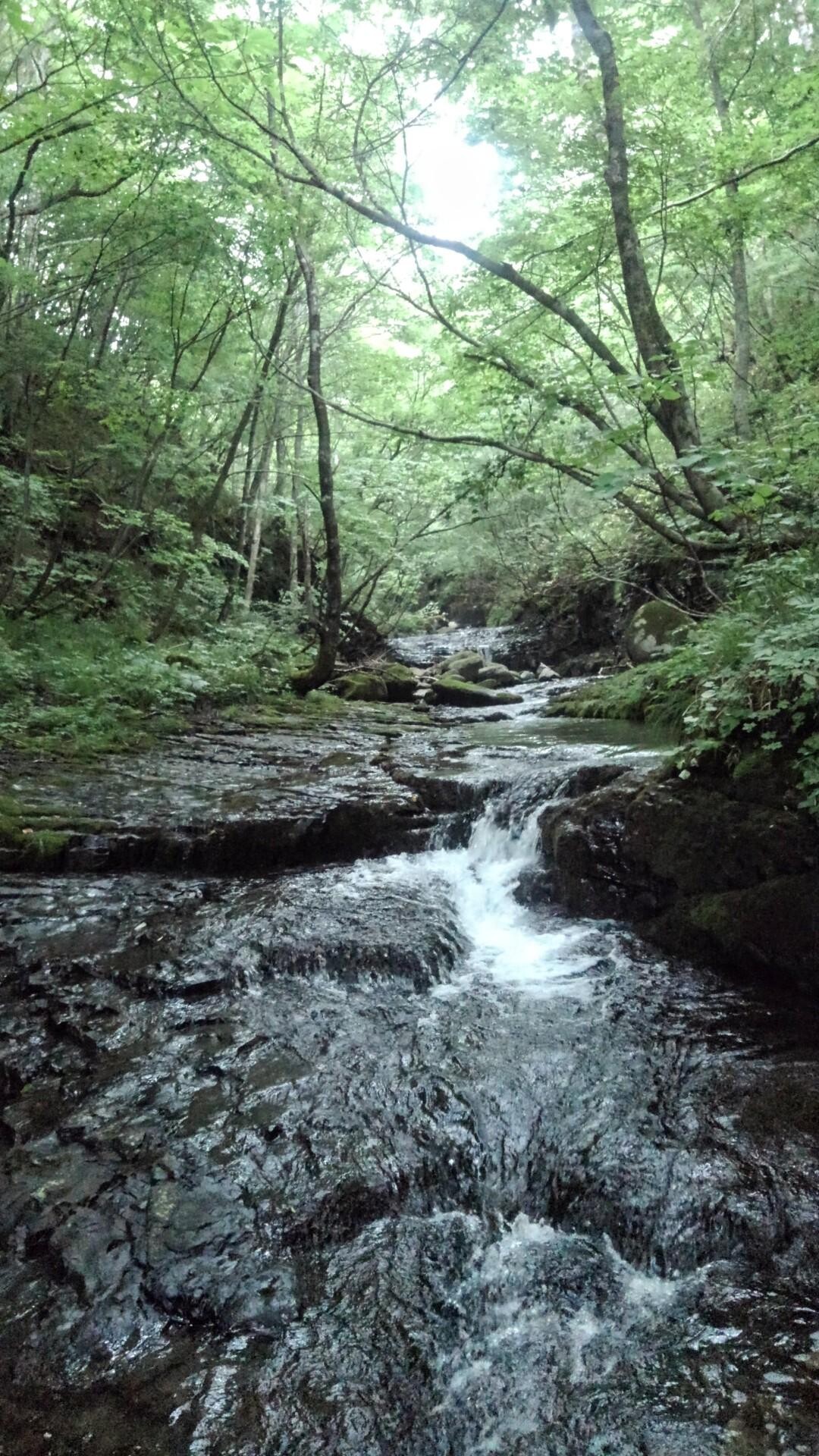 なにがなんでも眼と頭ん中いろいろスッキリ... / gk-cnさんのモーメント | YAMAP / ヤマップ