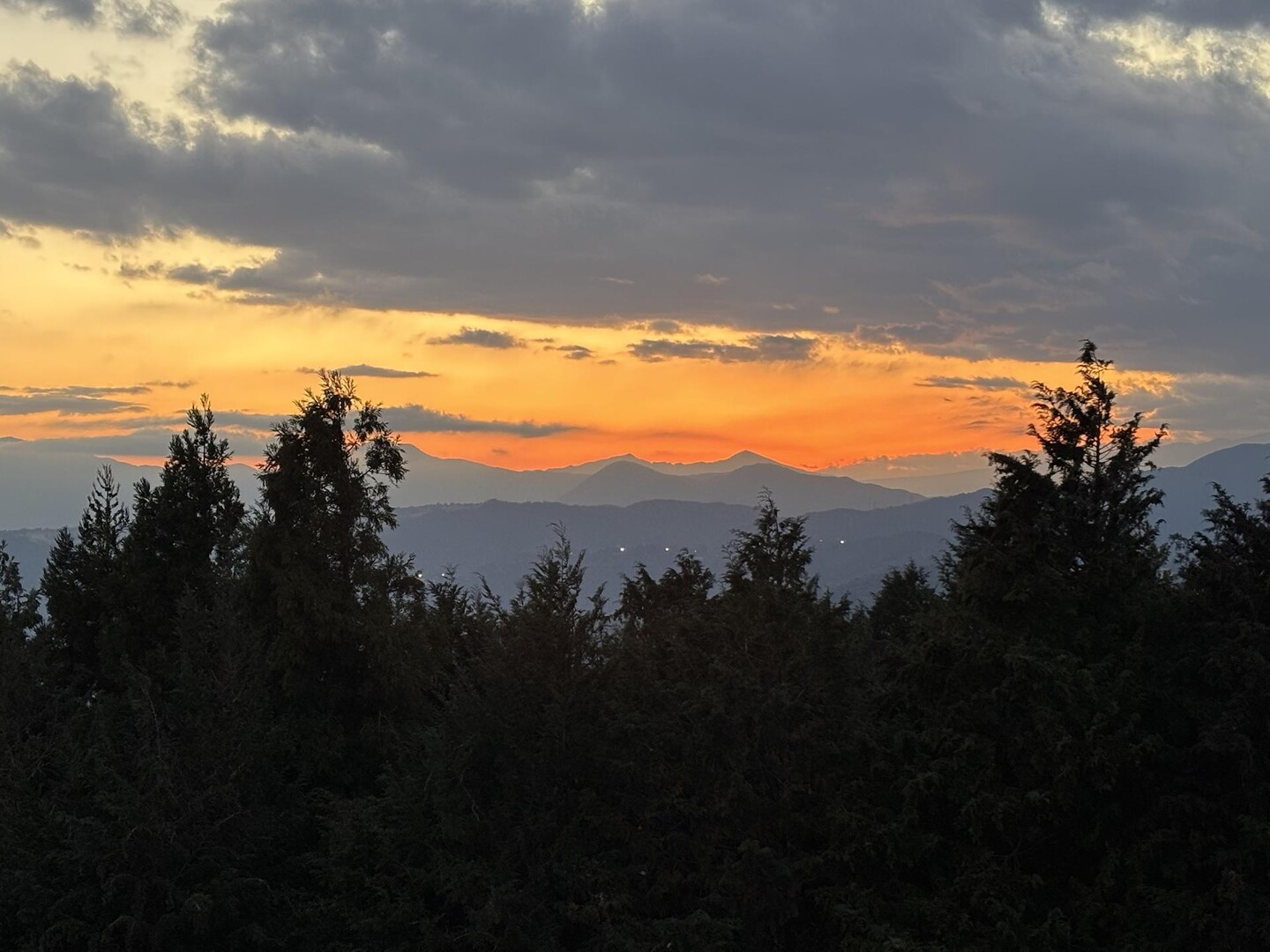 ☀️2025年の登り初めは丹沢山⛰️〜塩水橋から〜 / yuriさんの塔ノ岳・丹沢山・蛭ヶ岳の活動日記 | YAMAP / ヤマップ