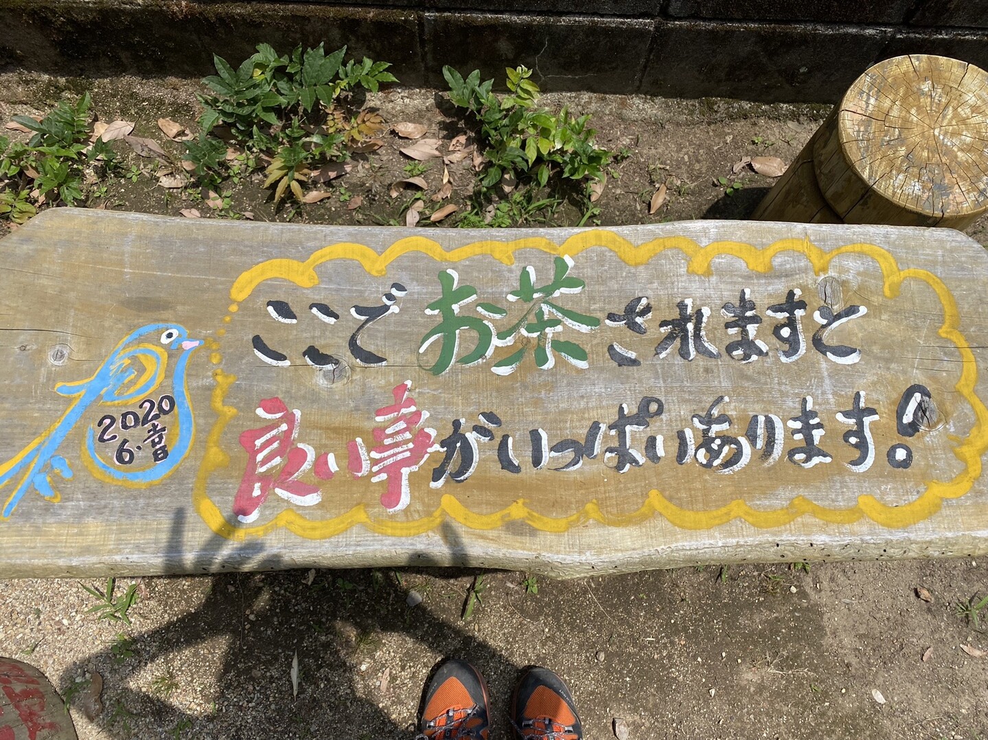 弥山 / miryuさんの弥山の活動データ | YAMAP / ヤマップ