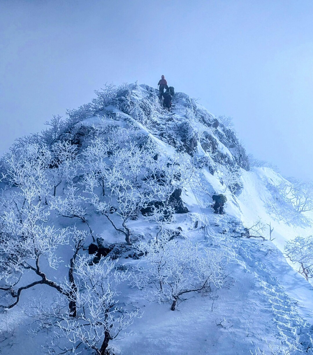 【VR】霞沢岳⛏️西尾根ルート / norisukeさんの霞沢岳の活動データ | YAMAP / ヤマップ