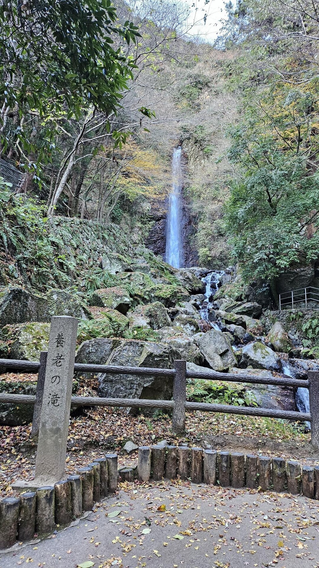 養老山行けず😭北尾根P826峰・三方山 / かわきたさんの養老山・笙ヶ岳・三方山の活動データ | YAMAP / ヤマップ