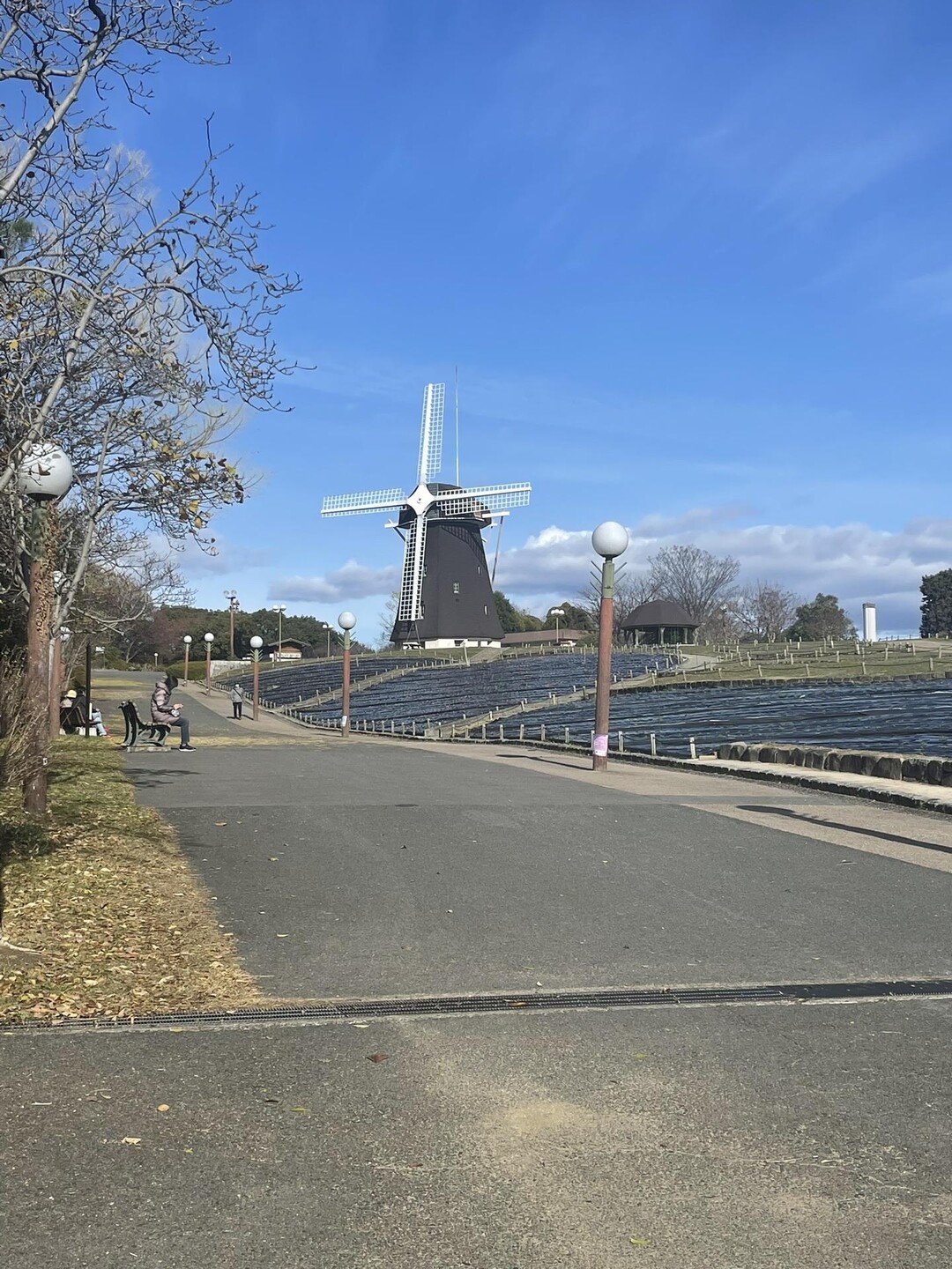 鶴見新山 お散歩 / ayumi☆さんの京街道（守口宿～高麗橋）の活動データ | YAMAP / ヤマップ