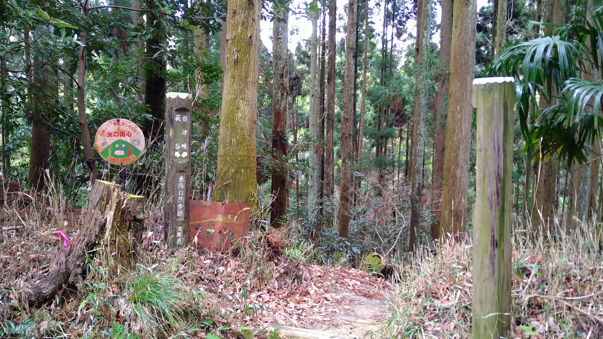 kame11さんの投稿したフィールドメモ | YAMAP / ヤマップ