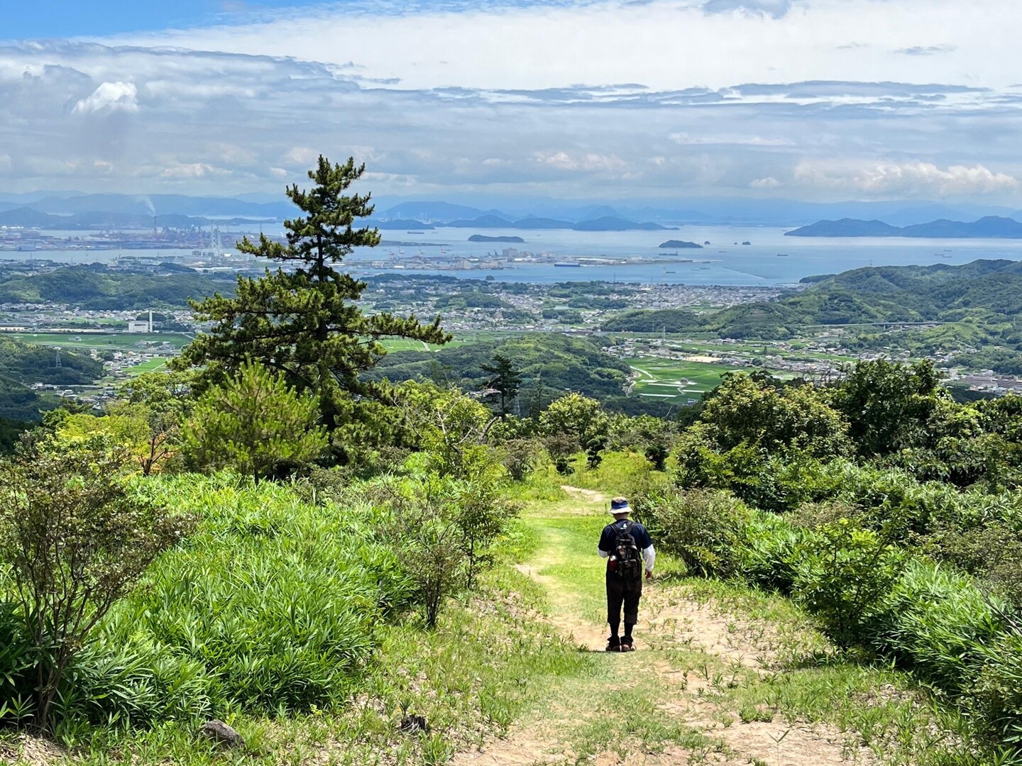 汗いっぱいで城山・展望さいこー遙照山 / まあさんの遙照山の活動データ | YAMAP / ヤマップ