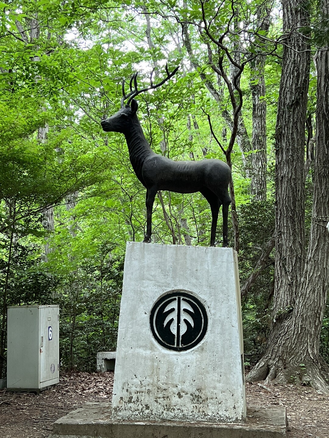 Amy(エイミー)さんの投稿したフィールドメモ | YAMAP / ヤマップ