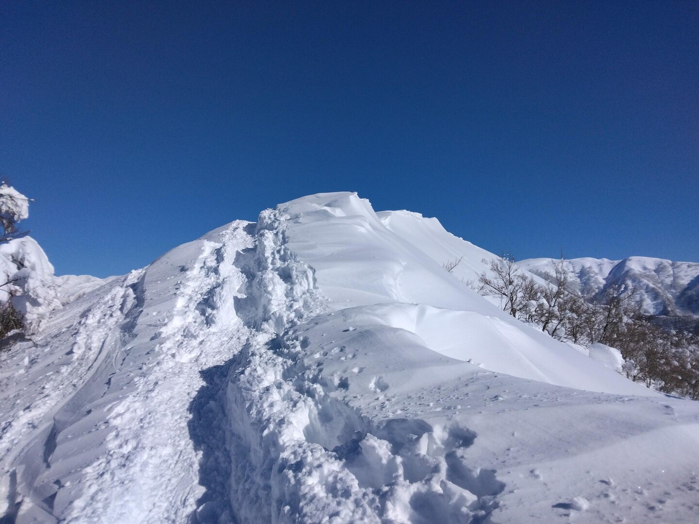積雪量Maxの取立山 2025-1-18 / pseoanceeさんの取立山の活動日記 | YAMAP / ヤマップ