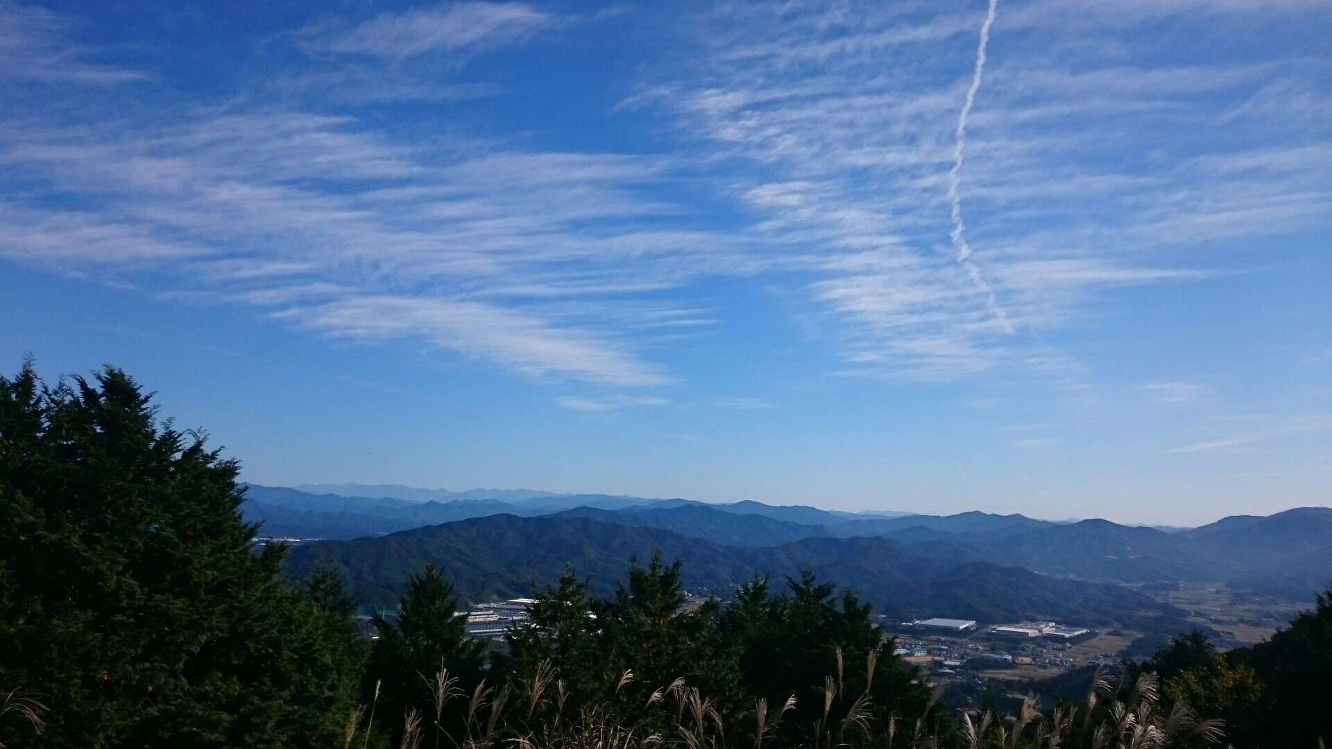 吉祥山 / トミーさんの吉祥山の活動データ | YAMAP / ヤマップ