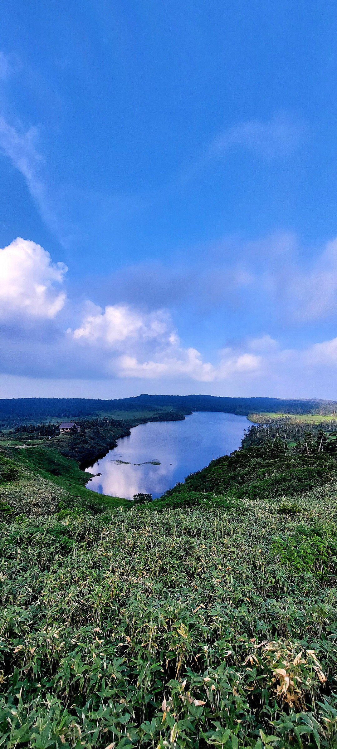 八幡平 / ぷちたろうさんの八幡平・源太森・安比岳の活動データ | YAMAP / ヤマップ