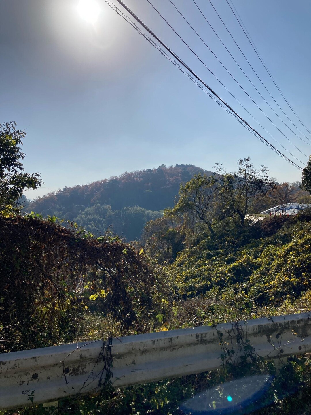 嶽山 恐ろしい msr0331さんすんまへん🙇‍♀️ / いしころさんの生駒山・神津嶽・大原山の活動データ | YAMAP / ヤマップ