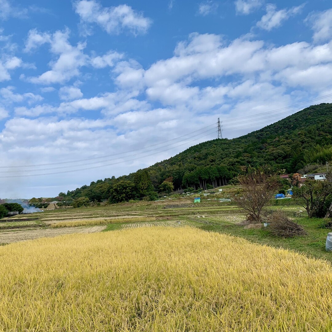 春日井三山 / Koro-Kenさんの春日井三山・弥勒山・大谷山・道樹山の活動データ | YAMAP / ヤマップ