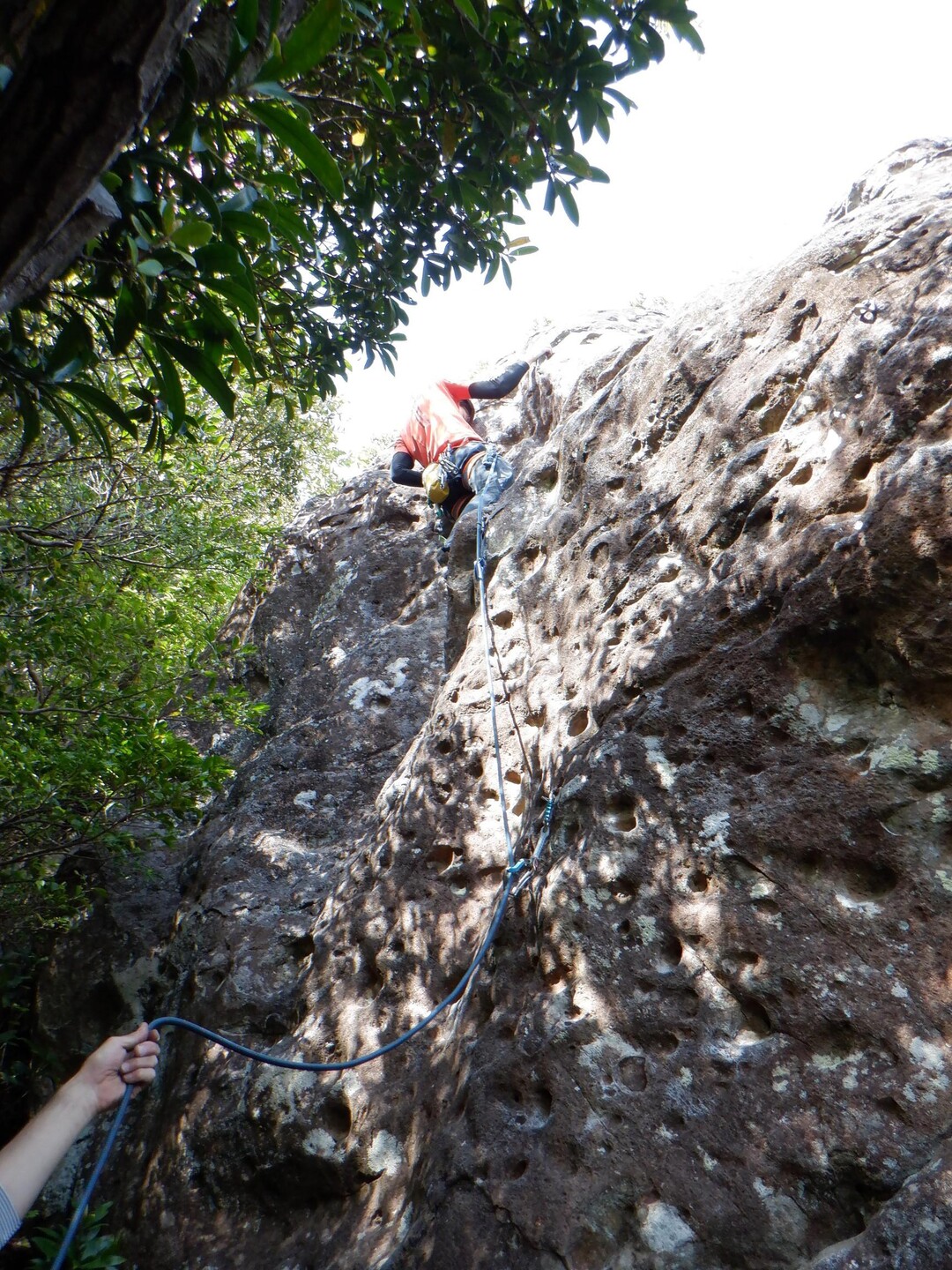 4/14 城山クライミング クッキングワ... / SAIToさんのモーメント | YAMAP / ヤマップ