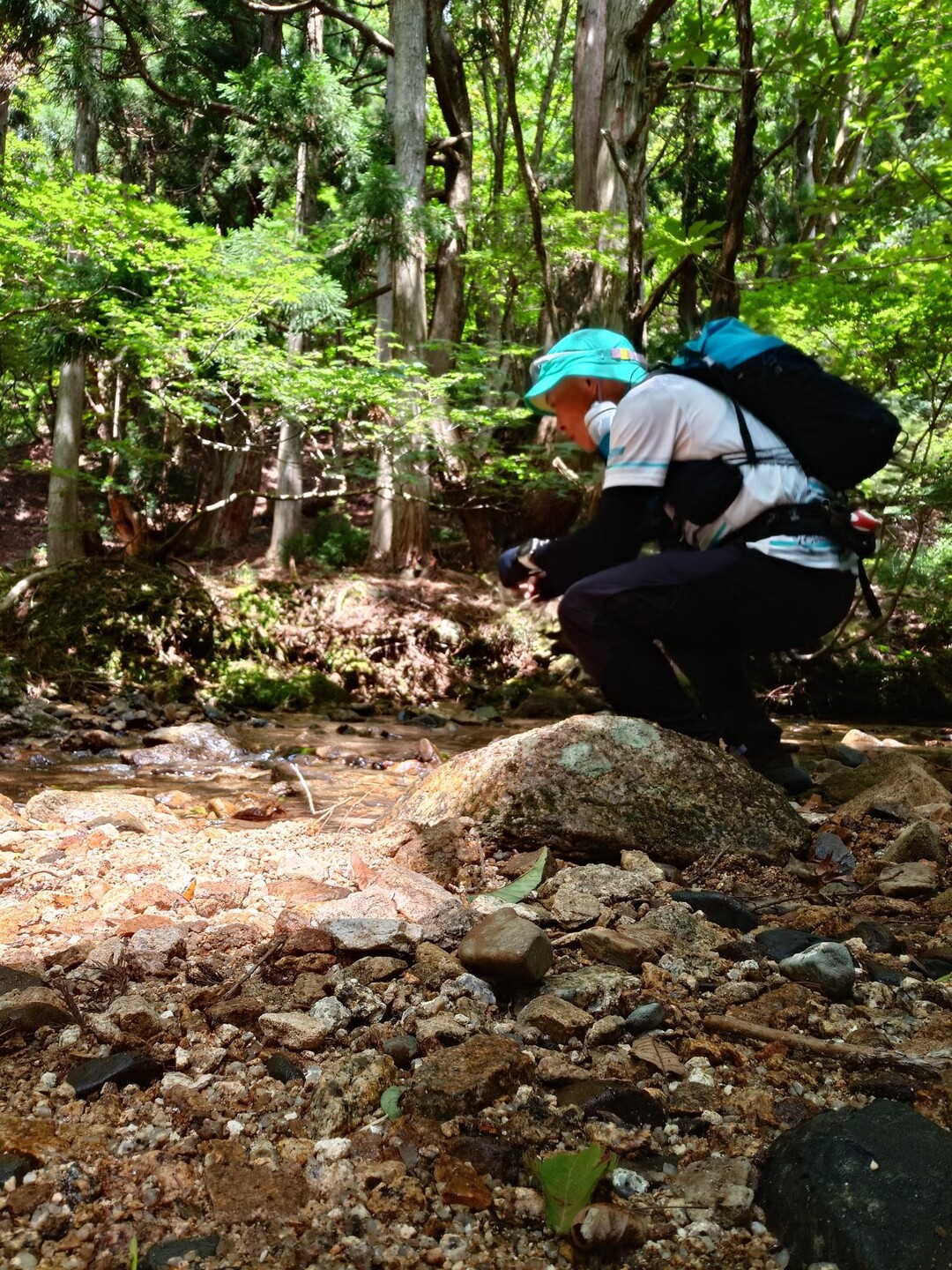 武奈ヶ岳登山＋ロードジョグ / Maggioさんの比良山地・武奈ヶ岳・釈迦岳の活動データ | YAMAP / ヤマップ