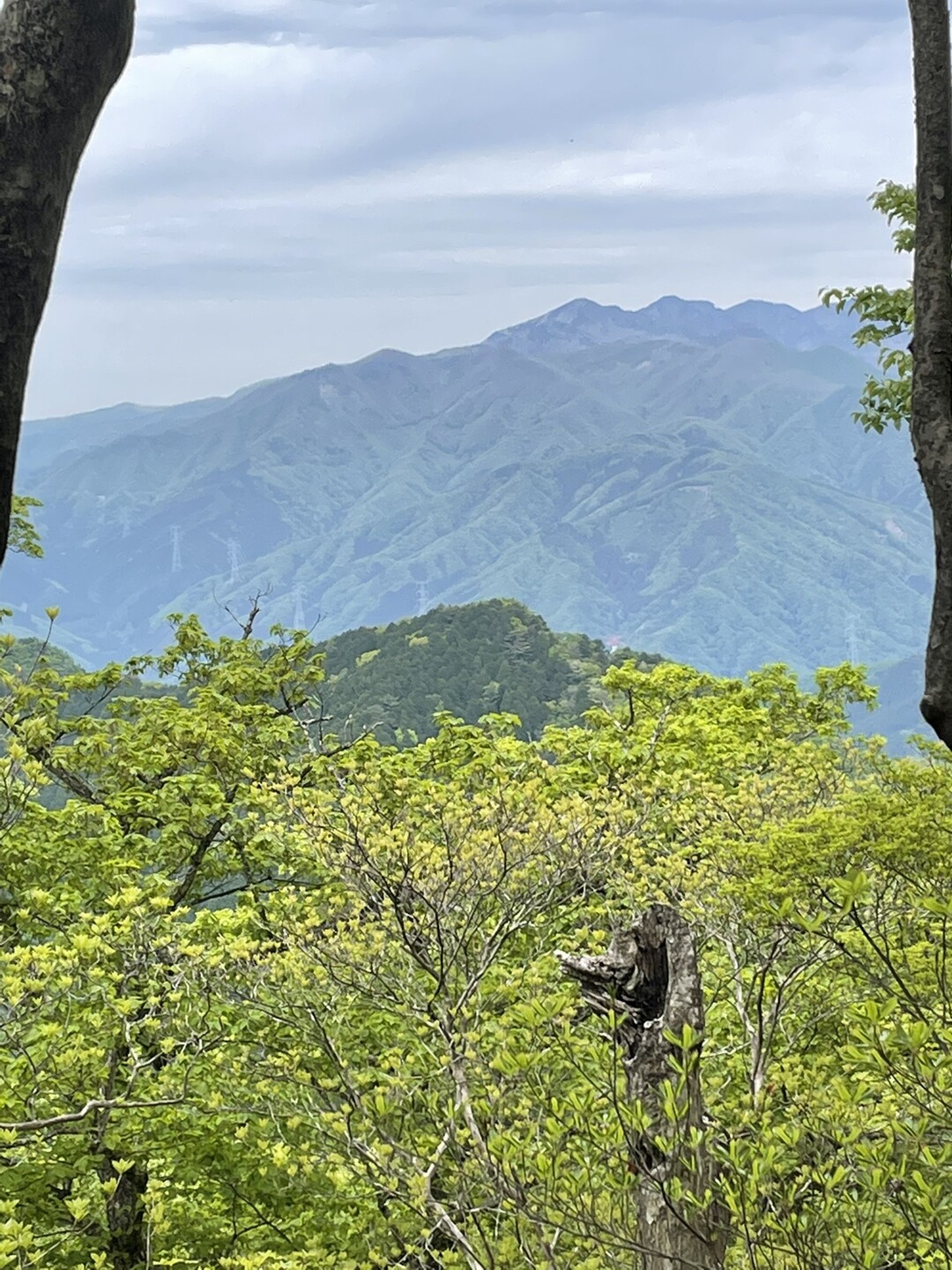 白ヤシオを見に根本山へ行ったが、地図が無... / guyさんのモーメント | YAMAP / ヤマップ