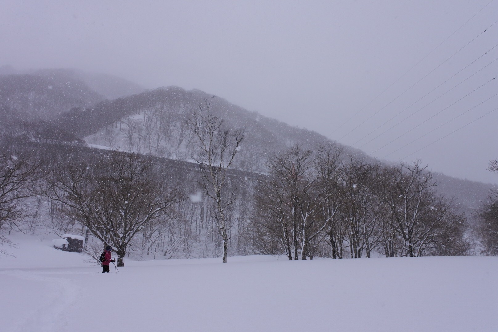 FUJI ROCKグリーンステージは3m... / エロ・シーランさんのモーメント | YAMAP / ヤマップ