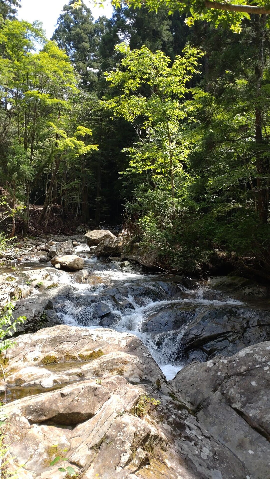 本宮山 / SADA-SANさんの本宮山・大日山・風頭山の活動データ | YAMAP / ヤマップ