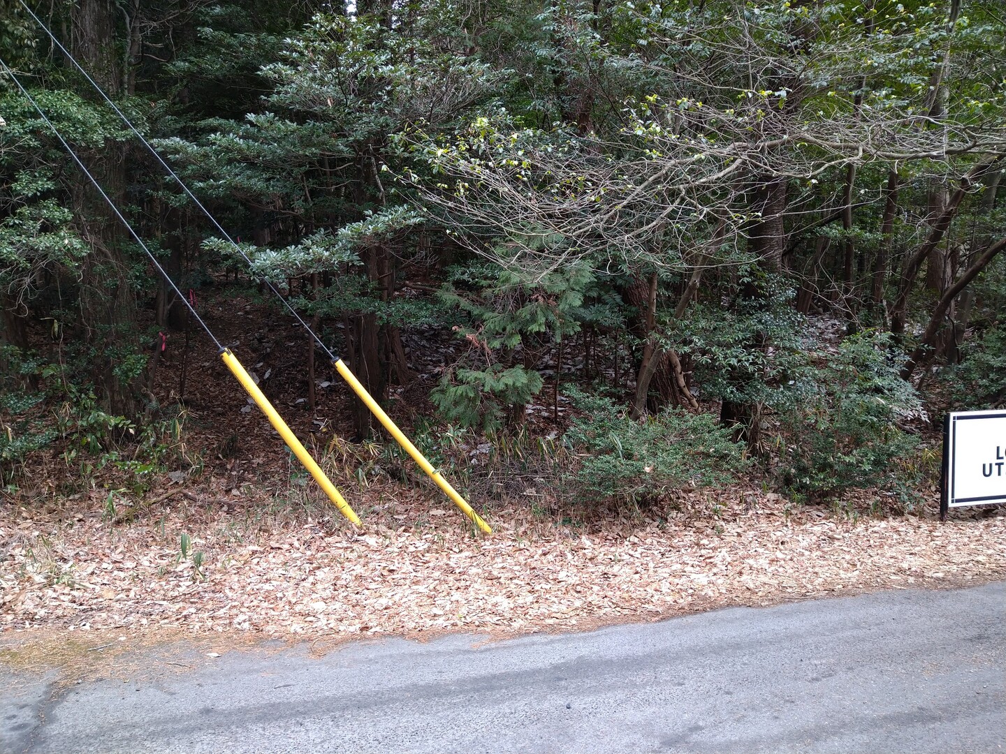 Mo-riさんの投稿したフィールドメモ | YAMAP / ヤマップ