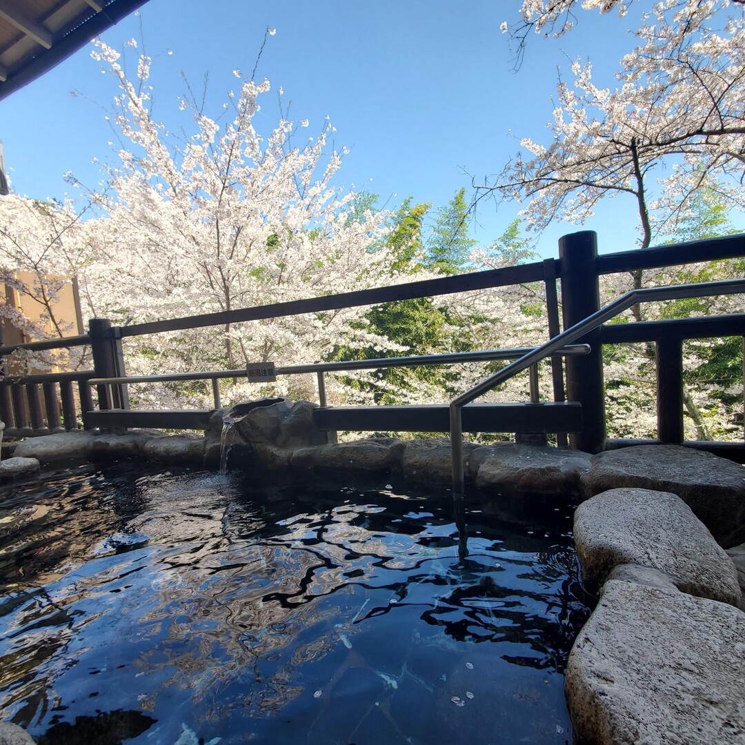 R5.4.1.sat. 信貴山温泉 / イトニイさんの生駒山・神津嶽・大原山の活動データ | YAMAP / ヤマップ