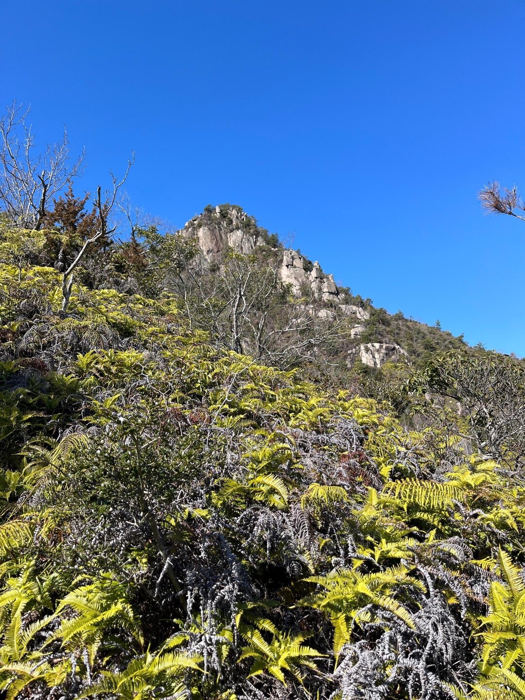 八幡岳・山城山・三谷山 / おきM2さんの右田ヶ岳・西目山・楞厳寺山の活動データ | YAMAP / ヤマップ