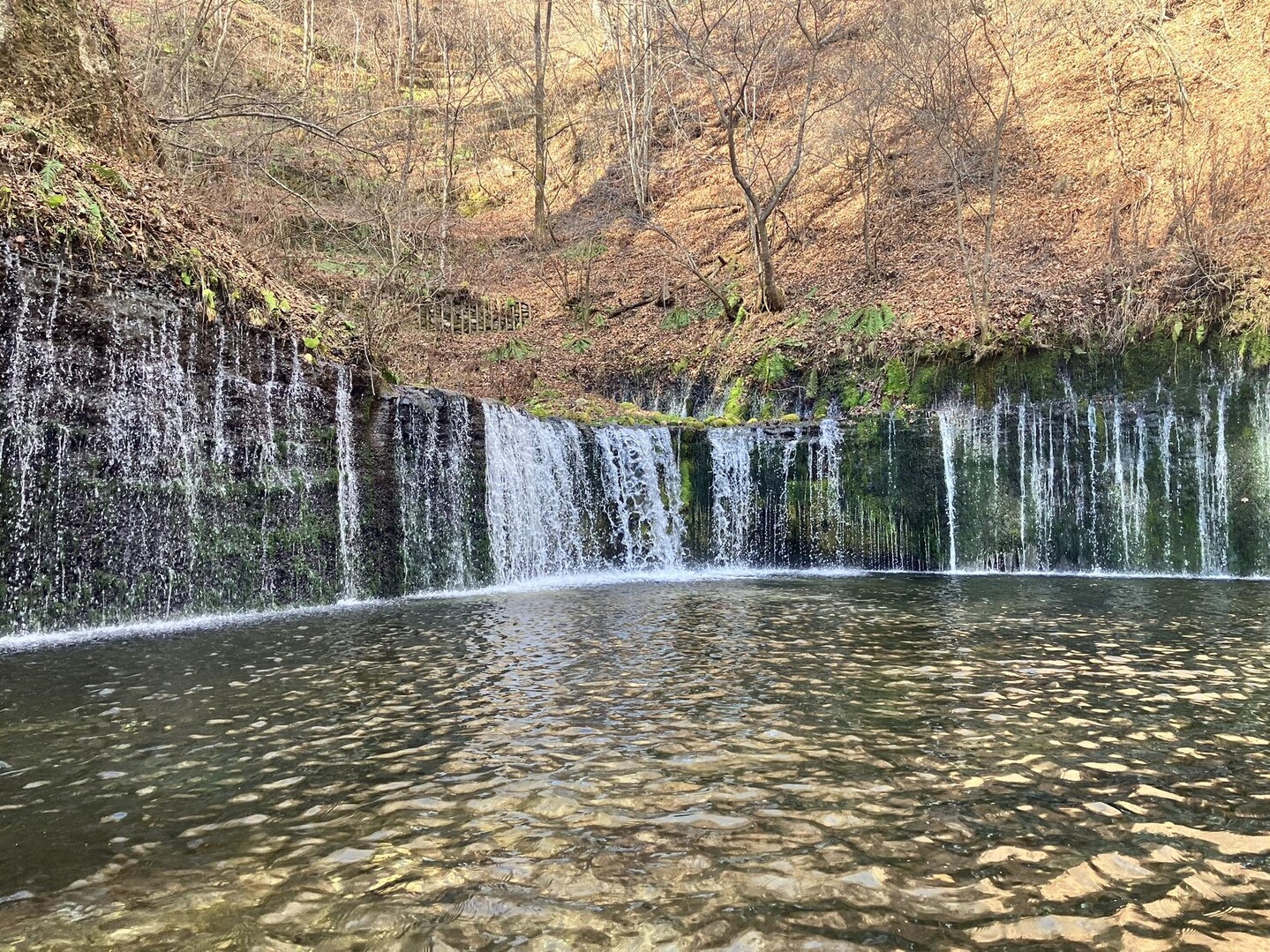 白糸の滝と小浅間山へ観光 -2013-12-03 / まなみさんの浅間山・黒斑山・篭ノ登山の活動データ | YAMAP / ヤマップ