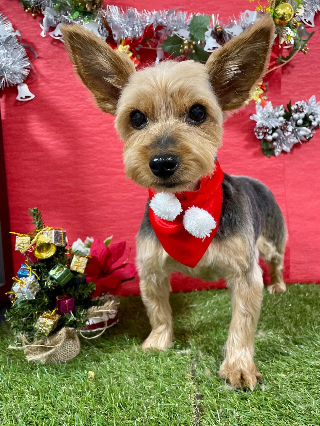 くらじいのページ | YAMAP / ヤマップ