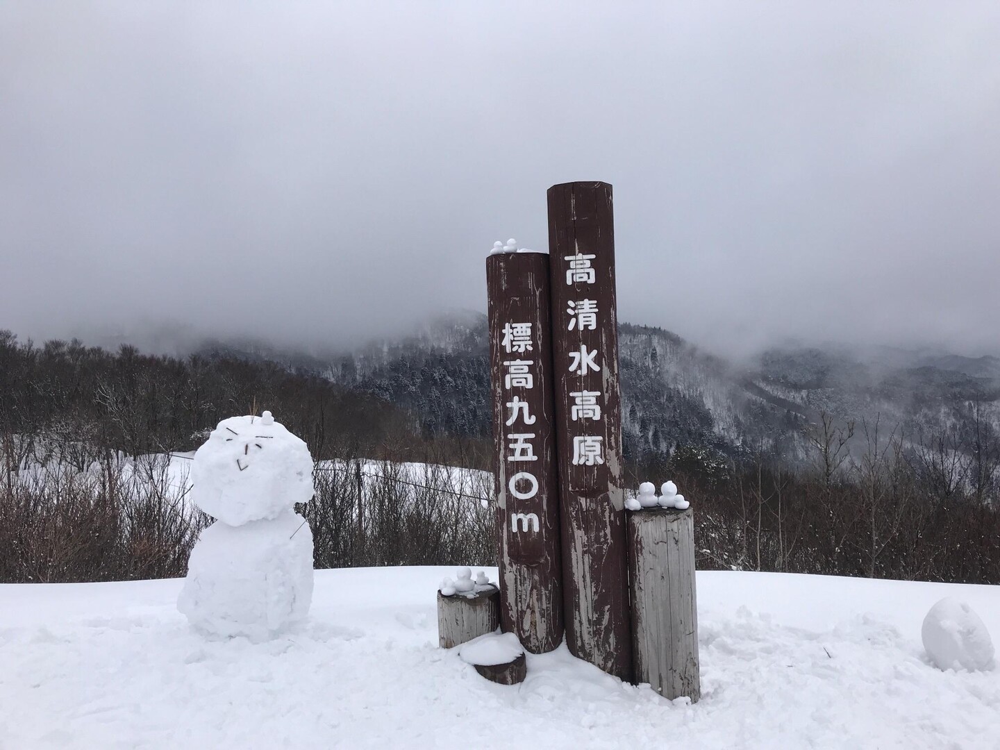 高清水トレイル / sanaさんのウォーキングの活動データ | YAMAP / ヤマップ