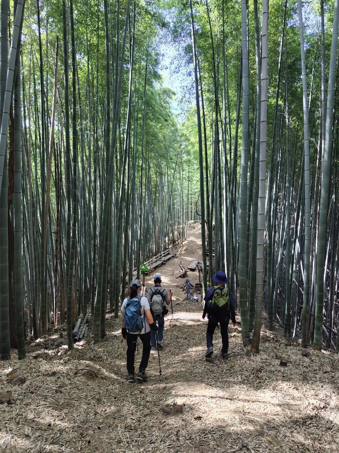 初の竹原鎮海山・鎮ヶ山・東山♬ / PEZ（ペッツ）さんの竹原市の活動データ | YAMAP / ヤマップ