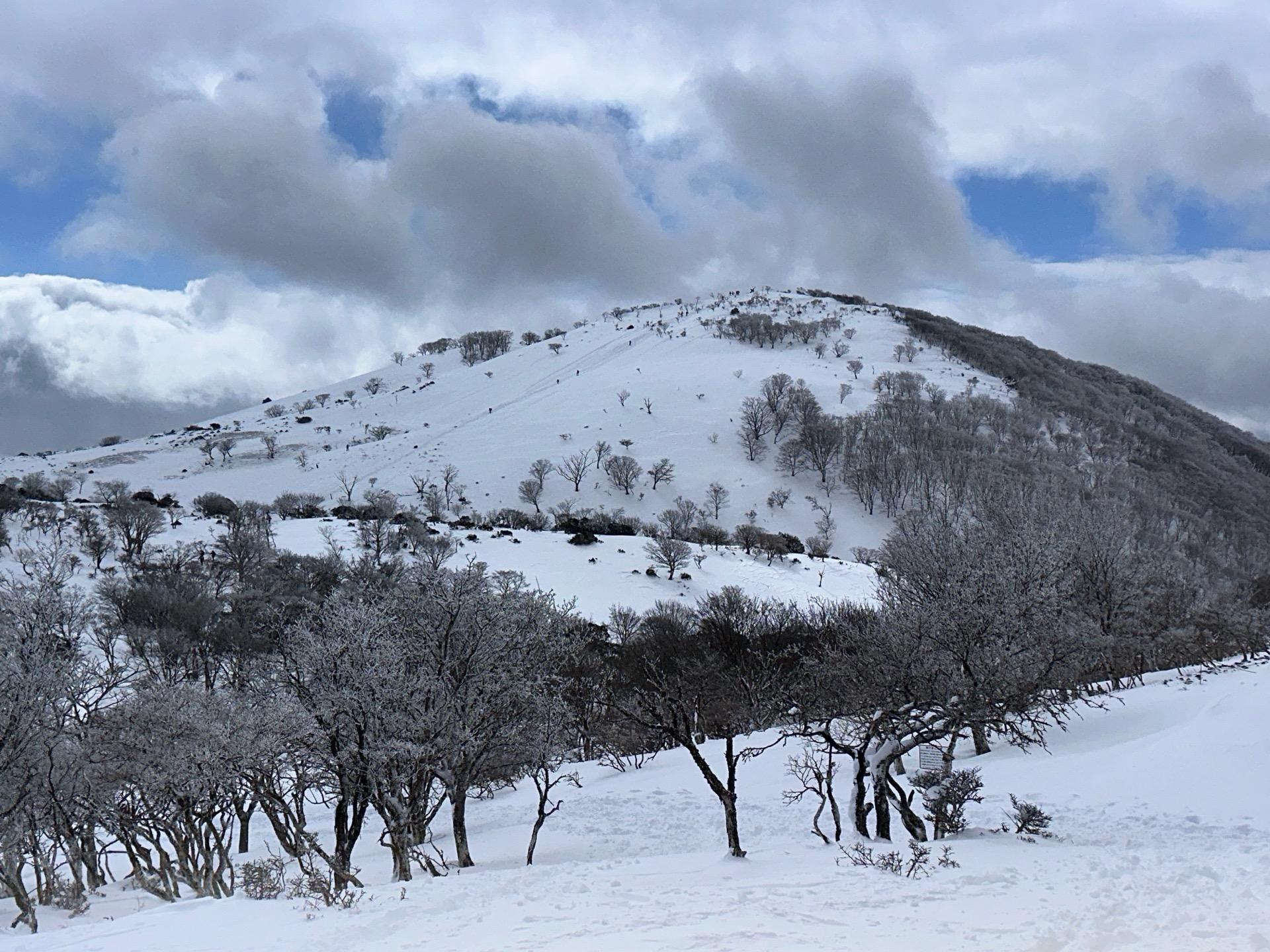 雪かきから始まる藤原岳 / eigoさんの藤原岳・御池岳の活動データ | YAMAP / ヤマップ