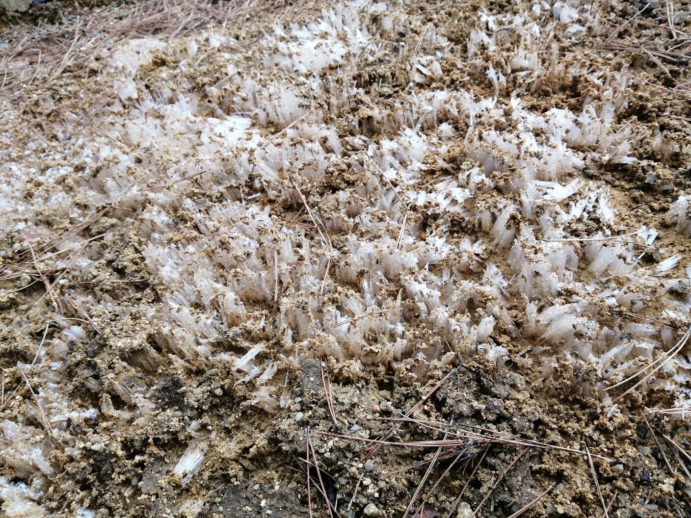 雪の結晶 と霜柱 明神山・絵下山・発喜山 / Mini Houseさんの絵下山・天狗城山・森山の活動データ | YAMAP / ヤマップ