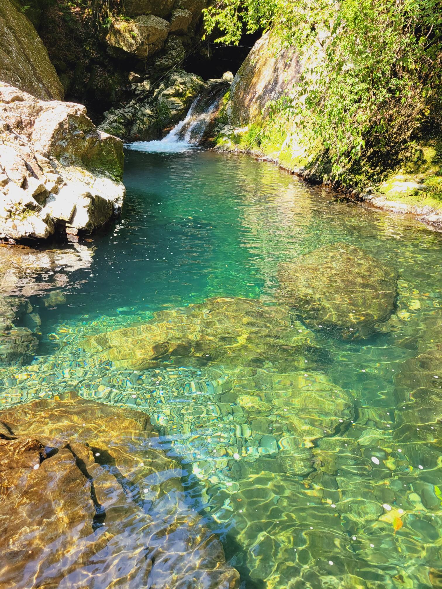沢歩きに挑戦 梅津の滝から仏の淵へ / shigeyoさんの熊ヶ山・雲霞山・コセンドウ山の活動データ | YAMAP / ヤマップ