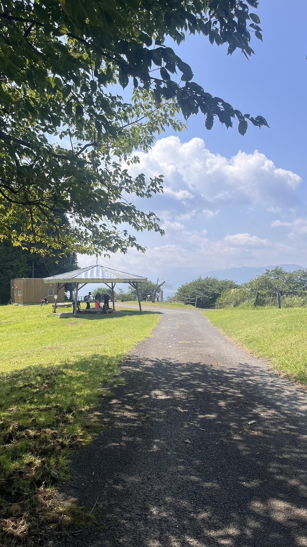 大野山 / Lee Vickyさんの高松山・大野山の活動データ | YAMAP / ヤマップ