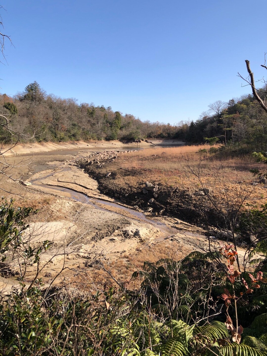 リベンジ鏡山⛰ / worryさんの三上山・鏡山の活動データ | YAMAP / ヤマップ