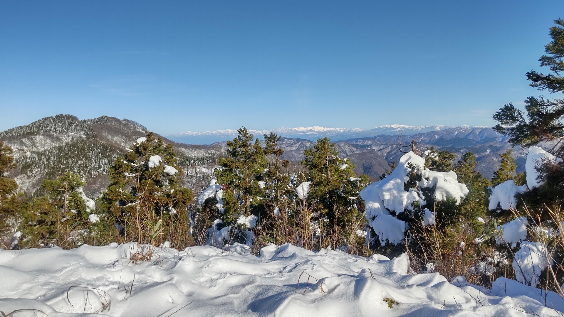 お月様の頭・高清水山・大滝山・高落場山・草沼山 / kubotchさんの高清水山・高落場山・八乙女山の活動データ | YAMAP / ヤマップ