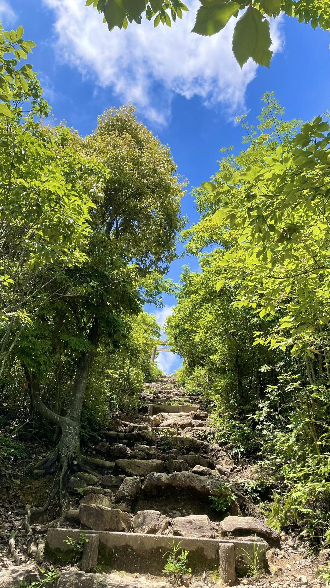 各務原権現山・北山 / SKさんの各務原アルプス（関南アルプス）・八木三山の活動データ | YAMAP / ヤマップ
