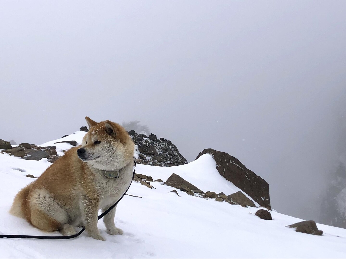 YAMAP開けたら5分で黒斑山🍚 / なっくさんの浅間山・黒斑山・篭ノ登山の活動データ | YAMAP / ヤマップ