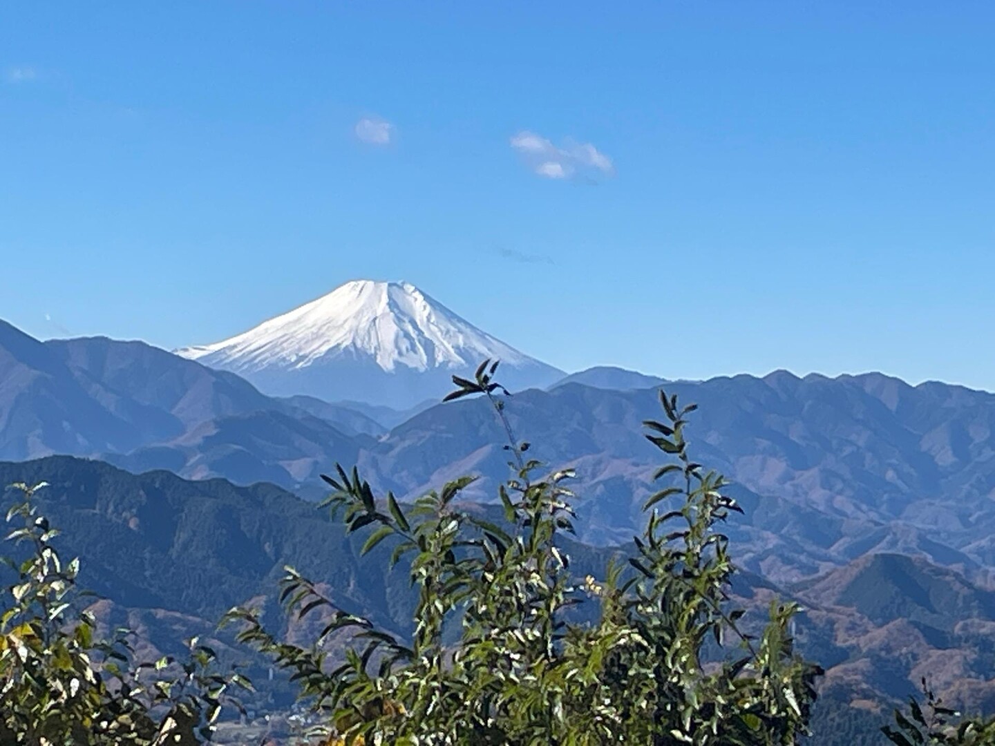 稲荷山・高尾山・神変山・こんぴら山 / hal0330さんの高尾山・陣馬山・景信山の活動データ | YAMAP / ヤマップ