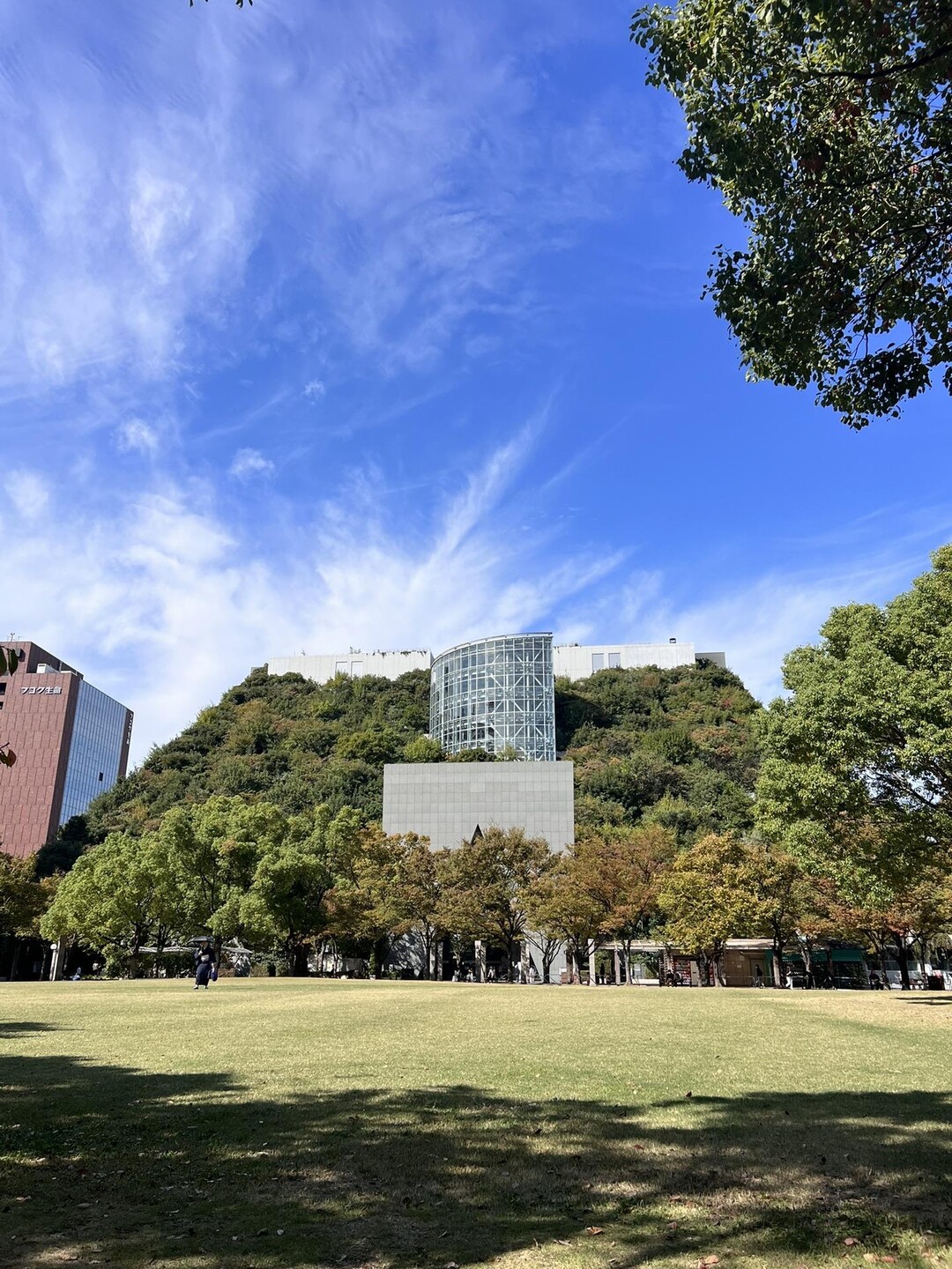 アクロス山 / Mayさんのアクロス山の活動データ | YAMAP / ヤマップ