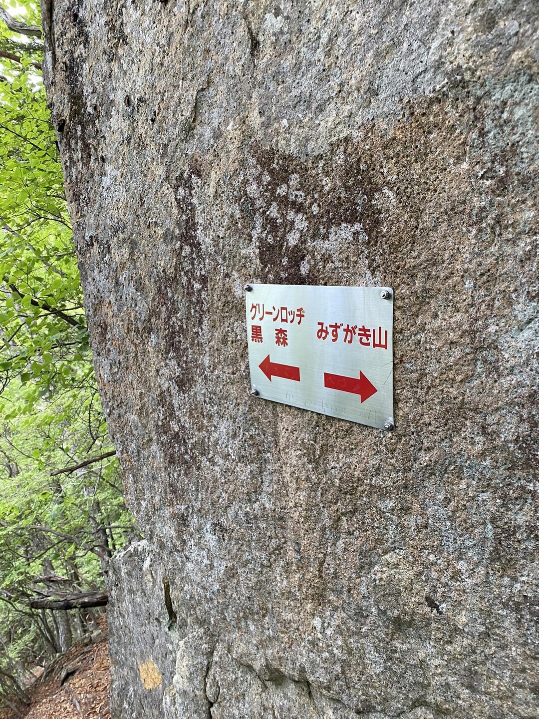 Nmamaさんの投稿したフィールドメモ | YAMAP / ヤマップ