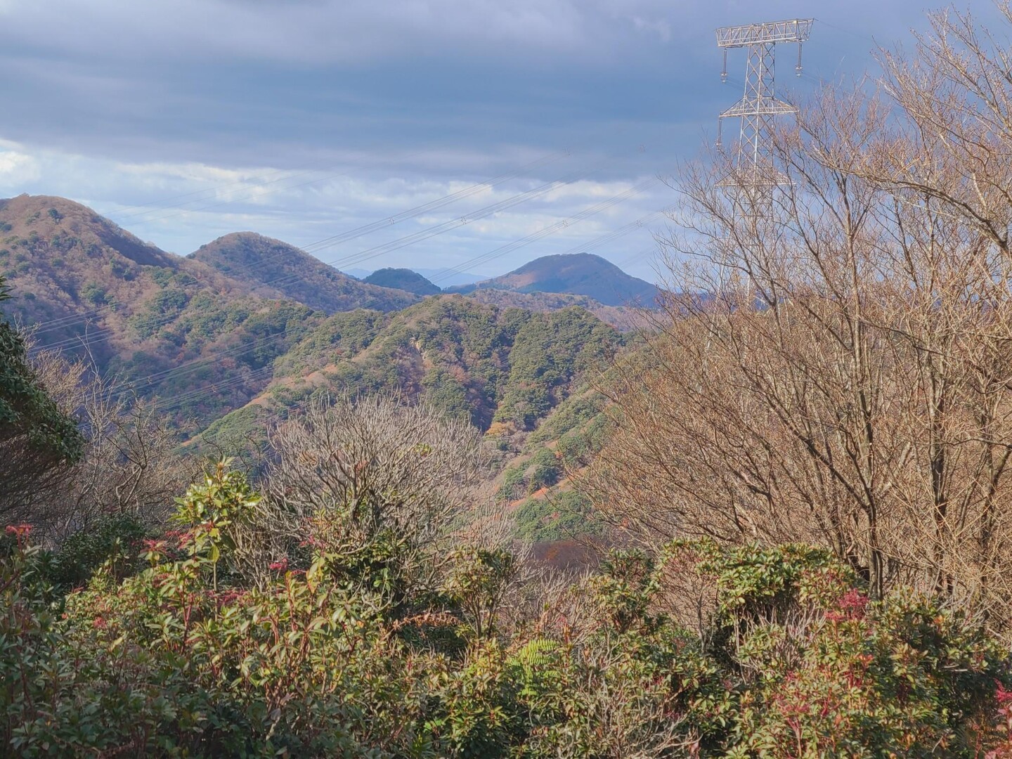 狗留尊岳 / Reyさんの霊仙山の活動データ | YAMAP / ヤマップ