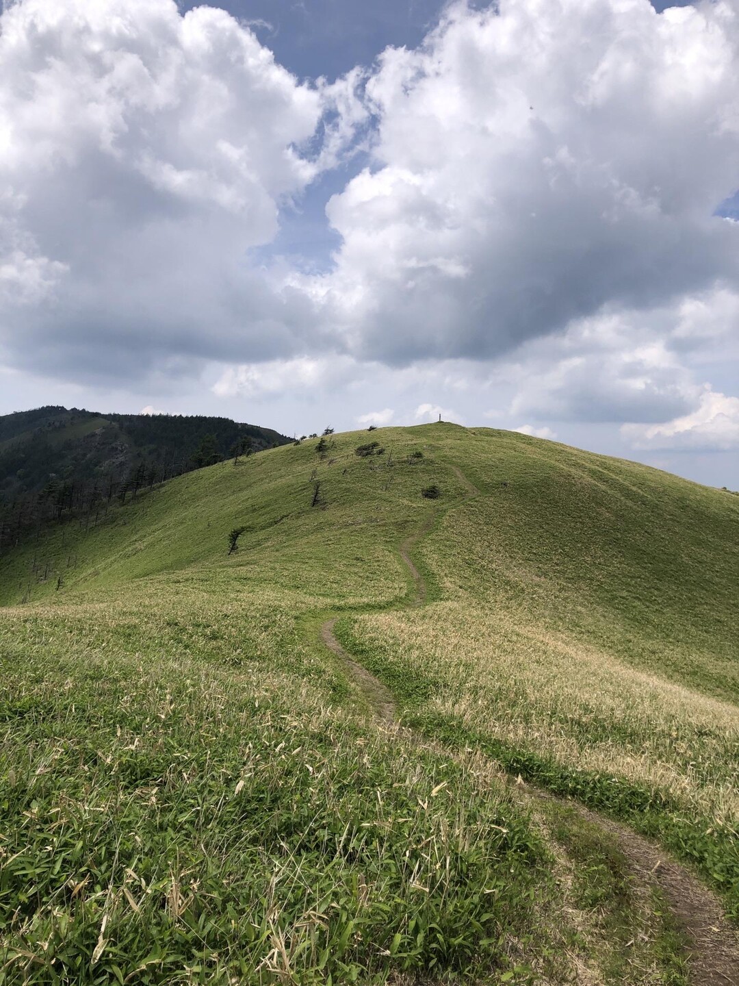【1/3】【大当り】鉢伏山・前二ツ山・二ッ山・横川山・前鉢伏山 / aspiさんの鉢伏山・高ボッチ山・三峰山の活動データ | YAMAP / ヤマップ