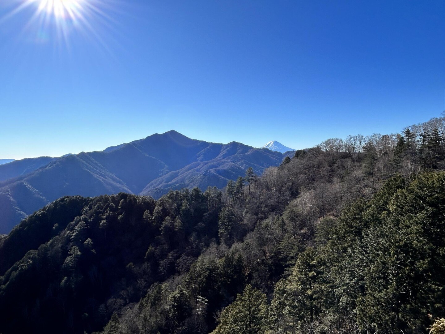 じゃない鶏冠山 20241215 / あきTRさんの大菩薩嶺・鶏冠山・大マテイ山の活動データ | YAMAP / ヤマップ