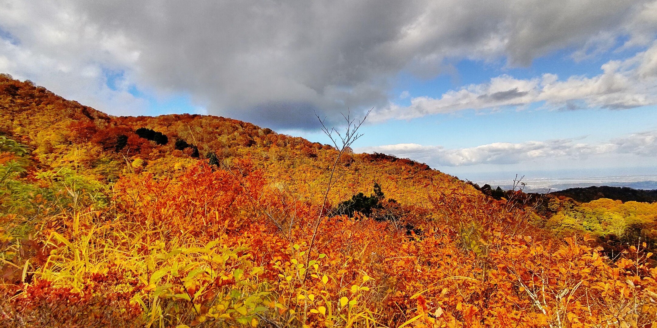 医王山周回 10-29 / あさきちさんの医王山・白兀山・箱屋谷山の活動データ | YAMAP / ヤマップ