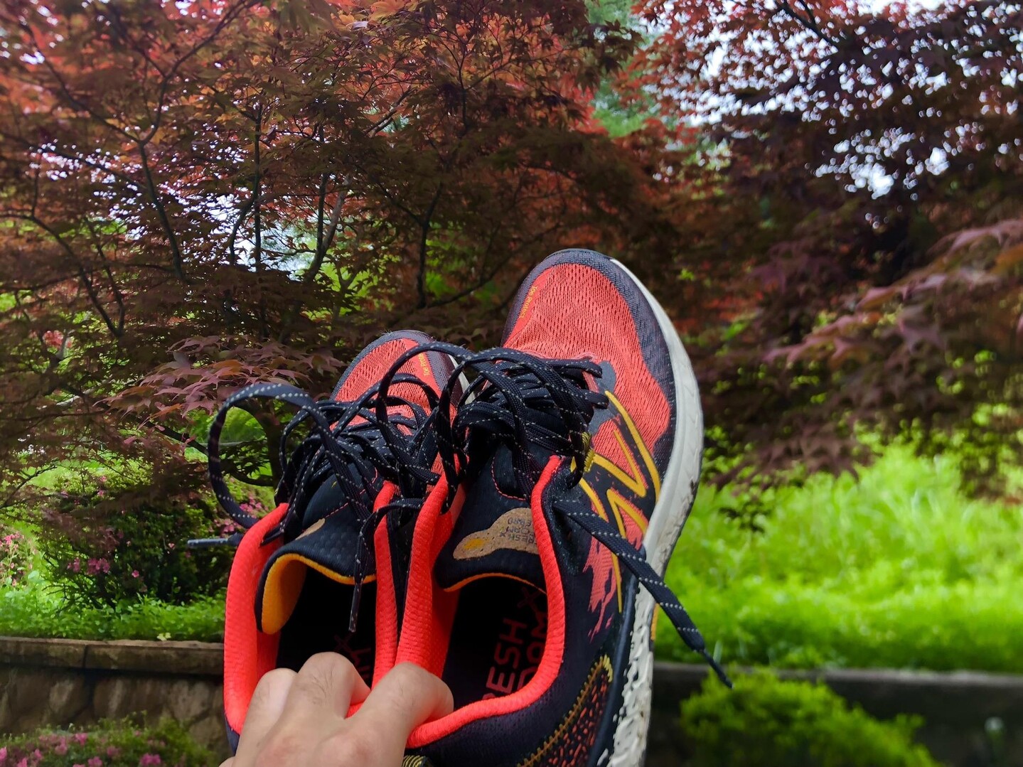 大好き‼️先輩‼️ / Naluさんの菩提寺山・高立山・護摩堂山の活動データ | YAMAP / ヤマップ